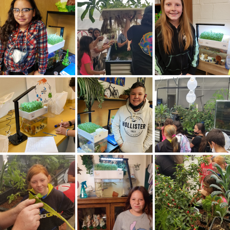 STEM vs. STEAM Education: A Teacher's Guide - The I Will Projects